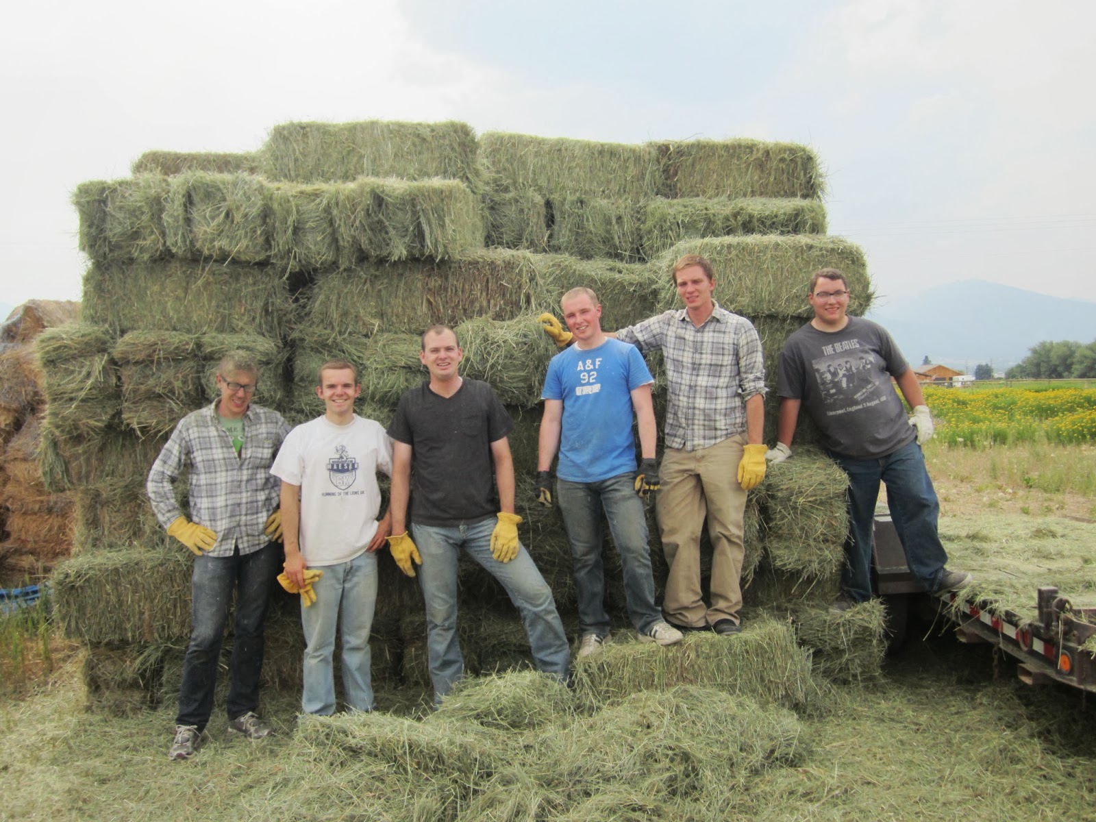 Called To Serve: Bucking Hay! Sent August 5, 2013